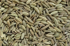 Fennel Seed Extract | Fennel Medicinal Uses | Foeniculum Vulgare Seed