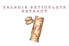 Salacia Reticulata Extract
