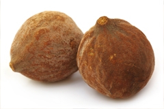Terminalia Belerica Fruit & Natural Food Production | Bellirica Myrobalan